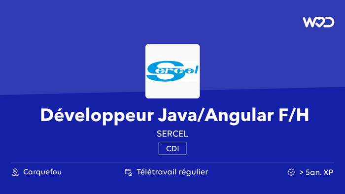 Développeur Java/Angular F/H - SERCEL - IT job