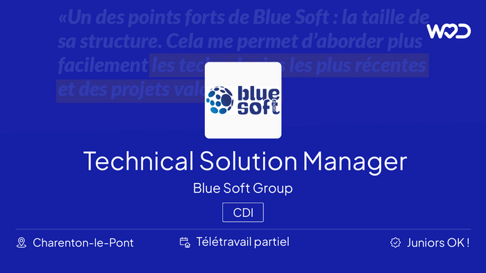 Technical Solution Manager F/H - Blue Soft - IT job