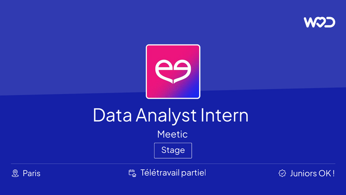 Data Analyst Intern - IT job