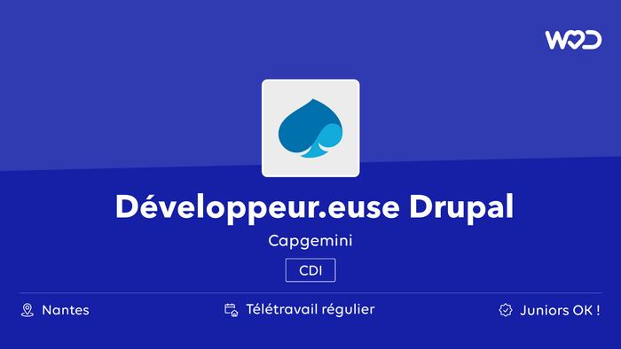 Développeur.euse Drupal - Capgemini - IT job