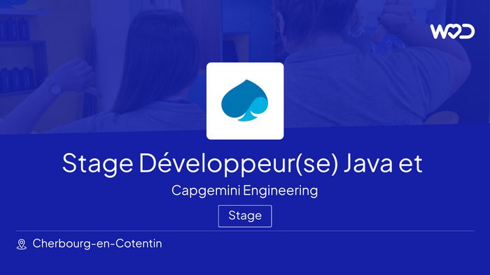 Stage Développeur(se) Java et Angular - Cherbourg - Capgemini ...