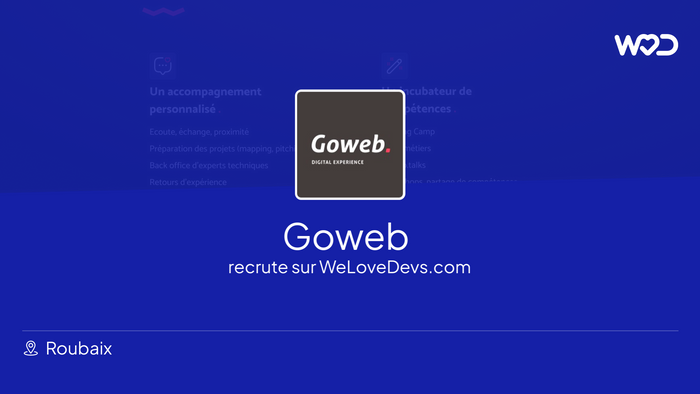 Developer at Goweb - jobs and salaries | WeLoveDevs