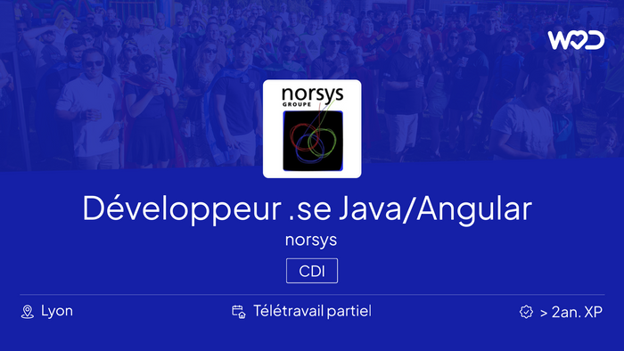 Développeur .se Java/Angular - norsys - IT job