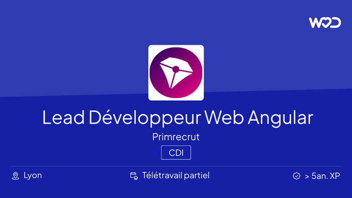 Lead Développeur Web Angular - SaaS FoodTech - Lyon - 60-70KE - CDI ...