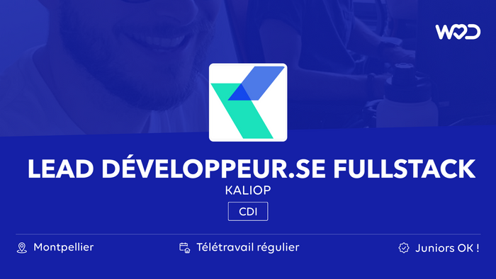 LEAD DÉVELOPPEUR.SE FULLSTACK NODEJS / REACT / VUE H/F - KALIOP - Emploi IT LEAD DÉVELOPPEUR.SE FULLSTACK NODEJS / REACT / VUE H/F - KALIOP - Emploi IT
