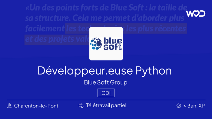 Développeur.euse Python Junior(e)/Confirmé(e) - Blue Soft - Emploi IT
