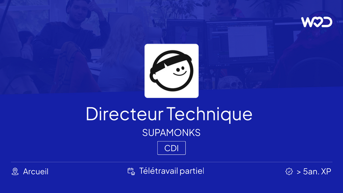 Directeur Technique - SUPAMONKS - IT job
