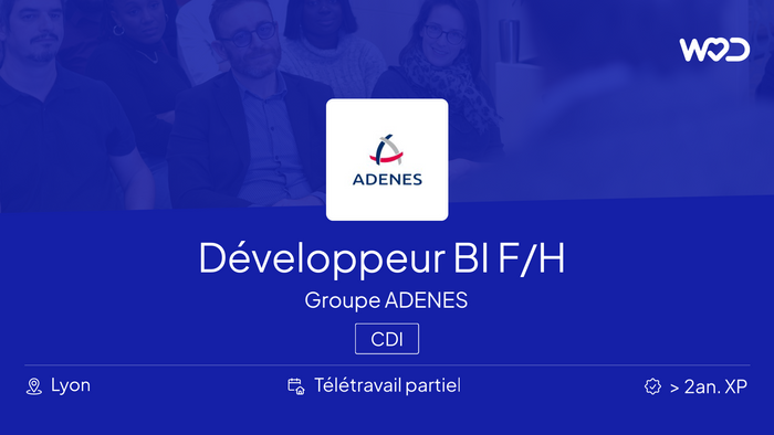 Développeur BI F/H - Groupe ADENES - Emploi IT