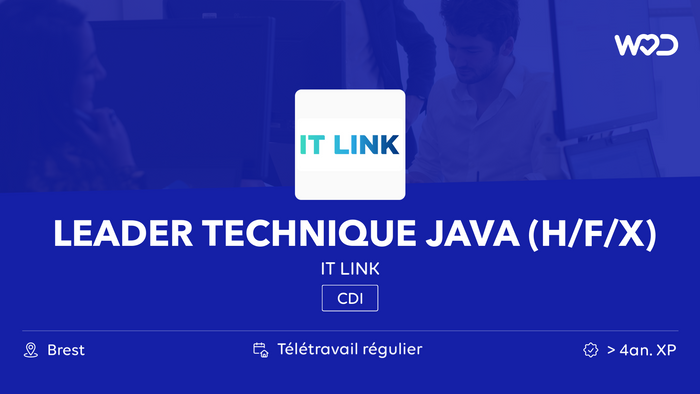 LEADER TECHNIQUE JAVA DÉBUTANT (H/F/X) - IT LINK - IT job