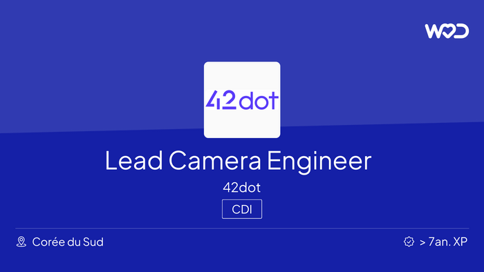 Lead Camera Engineer - IT job